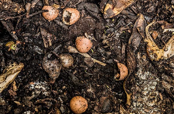 Saugerties adopts new composting system - Hudson Valley One