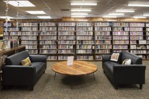 Each library is unique - Hudson Valley One