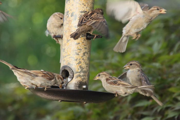 Pat Ryan, Moriello Pool, Channel 23 and more letters from readers ...