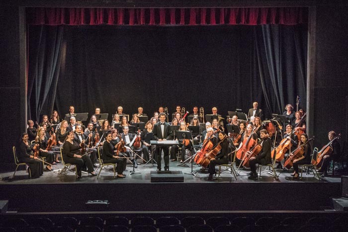 Woodstock Symphony Orchestra will play Beethoven’s Seventh and other ...