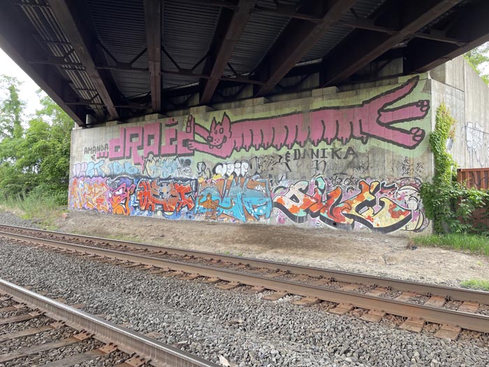 Untamed artistry: A brief tour of Kingston’s graffiti galleries ...