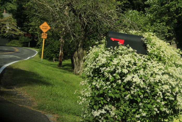 Lawn signs, DA race, synthetic turf and more letters from our readers ...