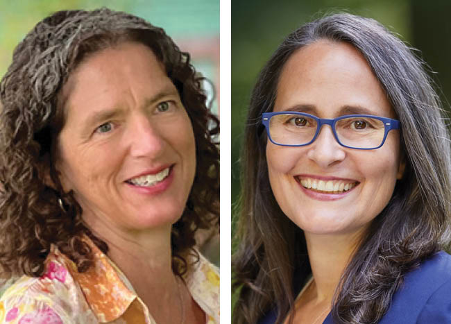 Let’s go to court: Metzger and Gallagher squabble - Hudson Valley One