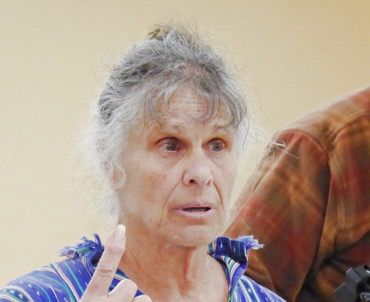 Saugerties Town Board members explain where they stand on the ceasefire ...