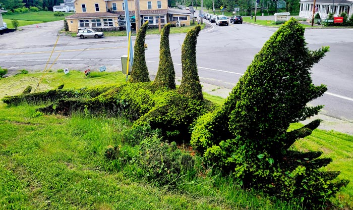 Betting your hedges - Hudson Valley One